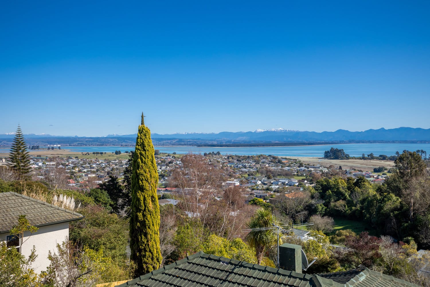 Tahunanui, Nelson: Coastal Bliss and Vibrant Living | The Cooper Group